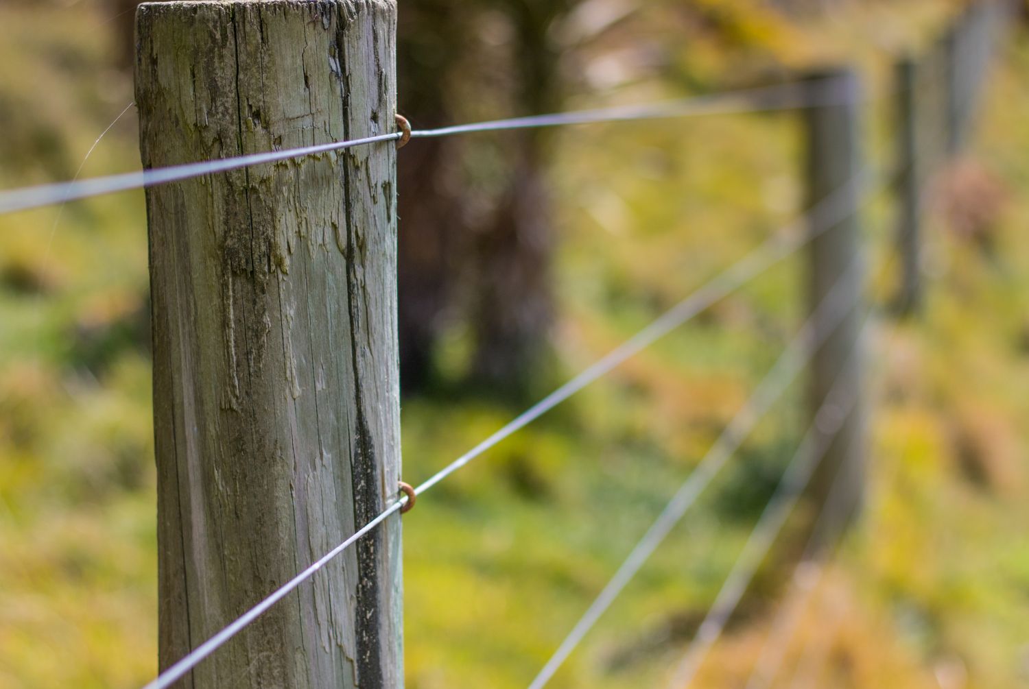 Heck-Pack kaufen: Stabile Hecktransporter für Jagd und Freizeit